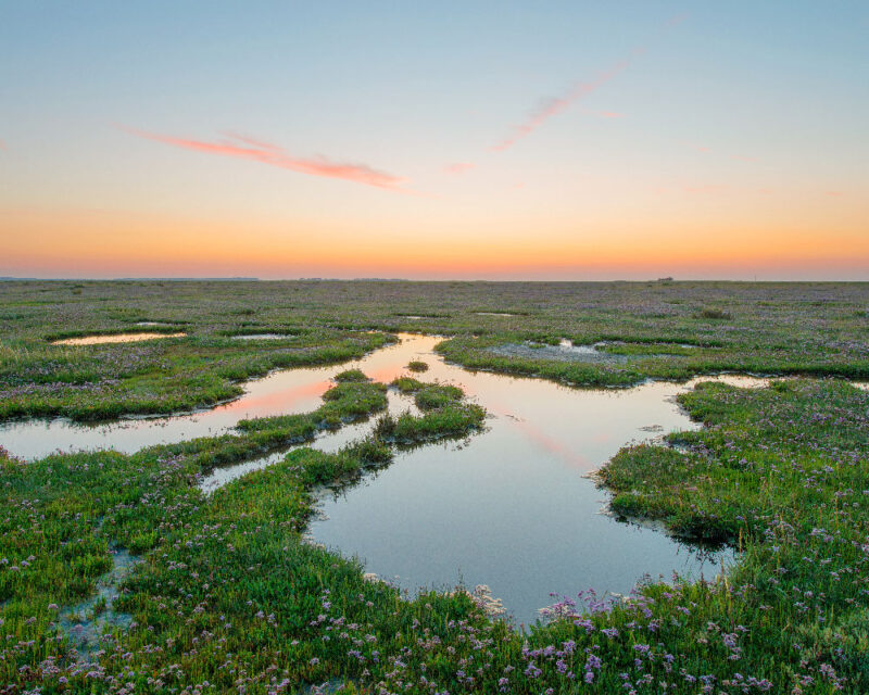 Stiffkey Red Lion | Stay & Eat on the North Norfolk Coast